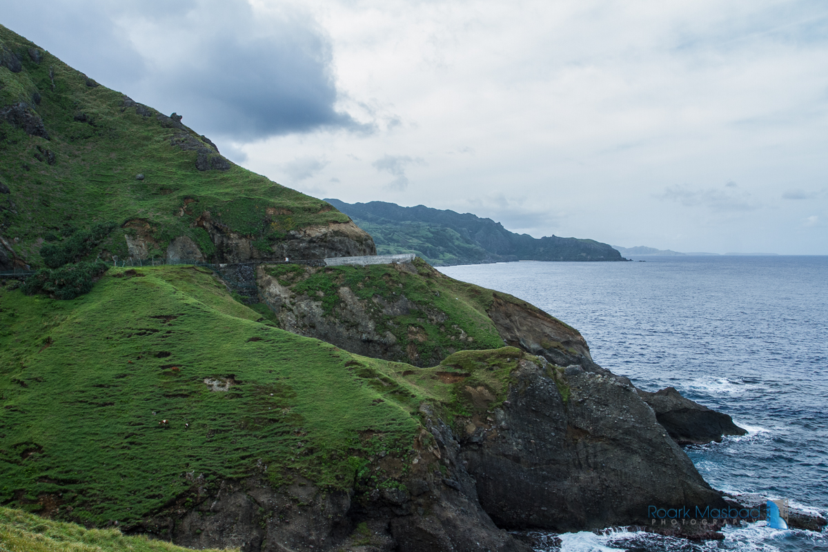 Photography Archives | Page 2 of 2 | The Wacky Life